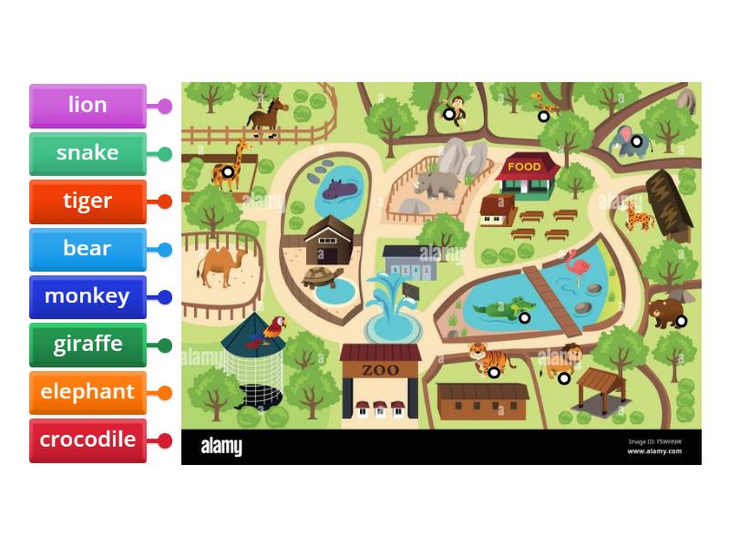 BS3 U2L1 Zoo map 1 - Labelled diagram