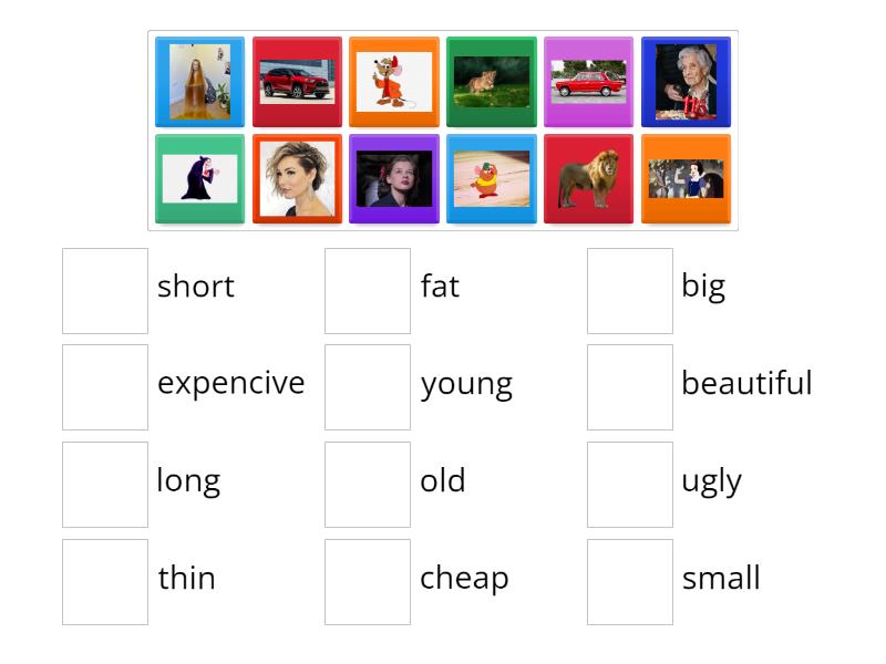 Opposites - Match up Opposites - Match up