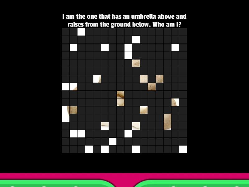 Riddles - Image quiz