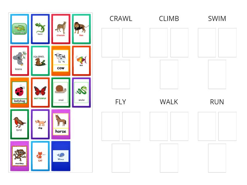 animals Sorting game - Group sort