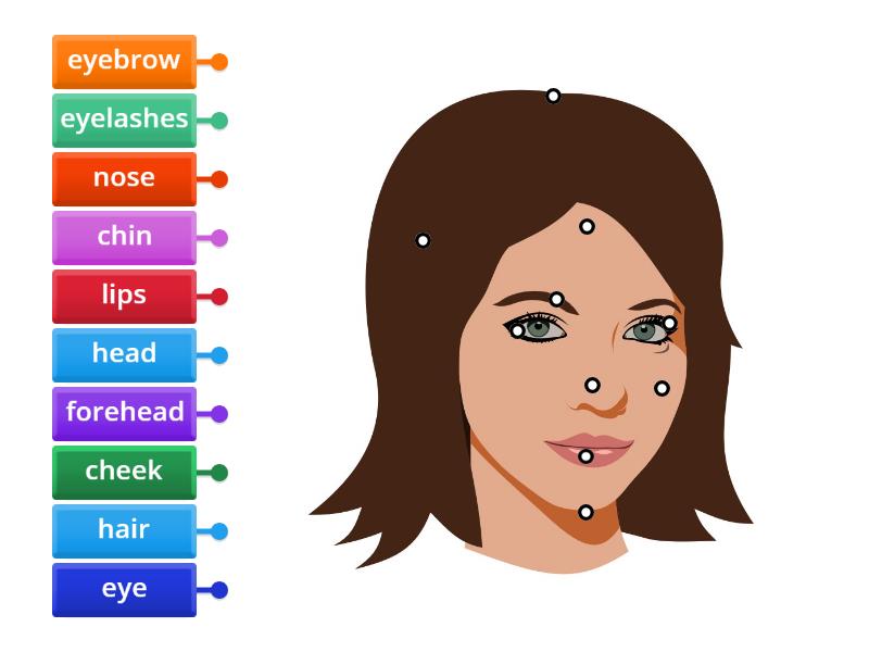 Face - Labelled diagram