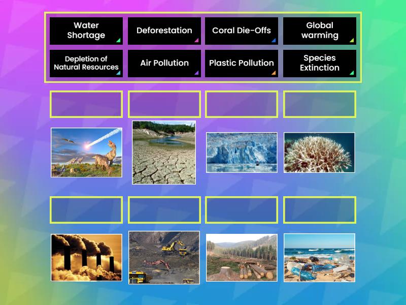 Types of ecological problems - Match up