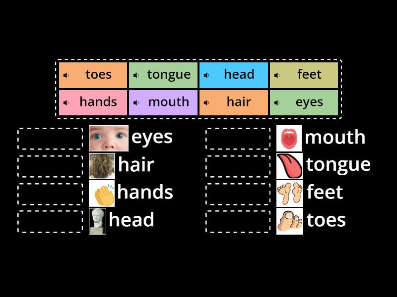 Newcomers Body Parts - Match up