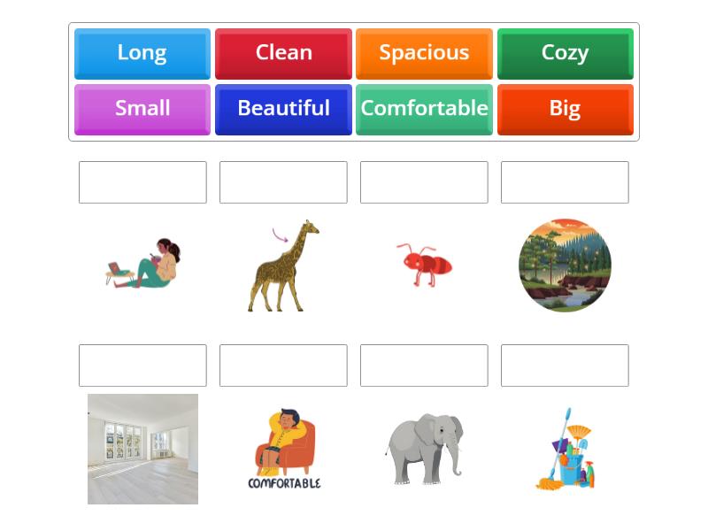 ADJECTIVE - PAIRING - Match up