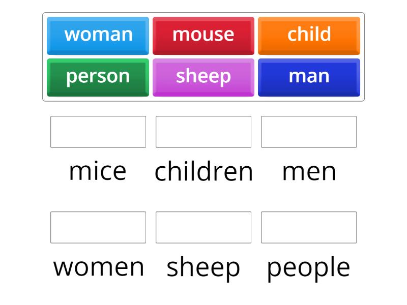 Quick minds 2 Unit 7 Match singular with plural nouns - Match up