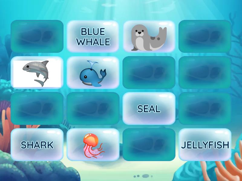 OCEAN LIFE - Matching pairs