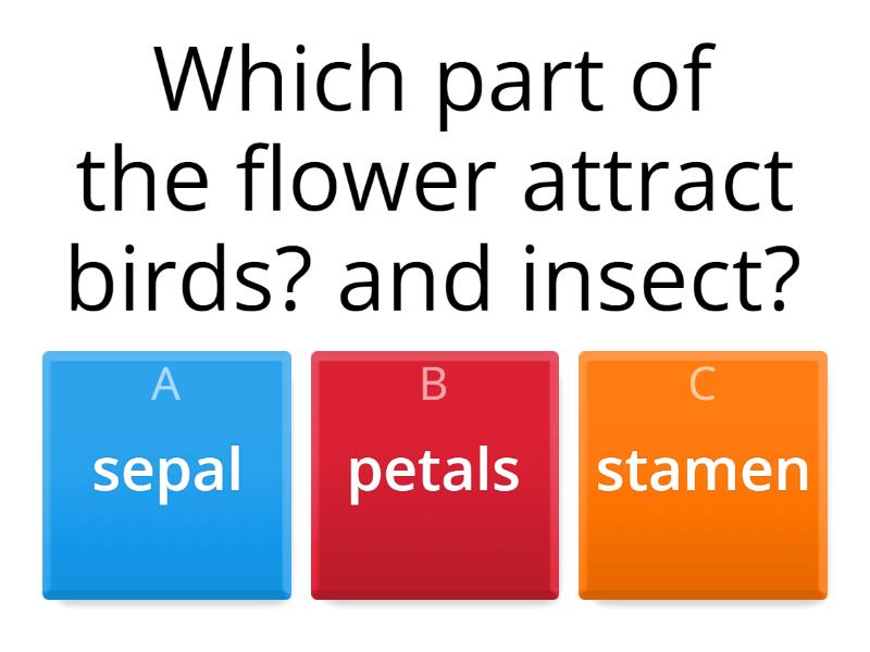 Parts of a flower - Questionário