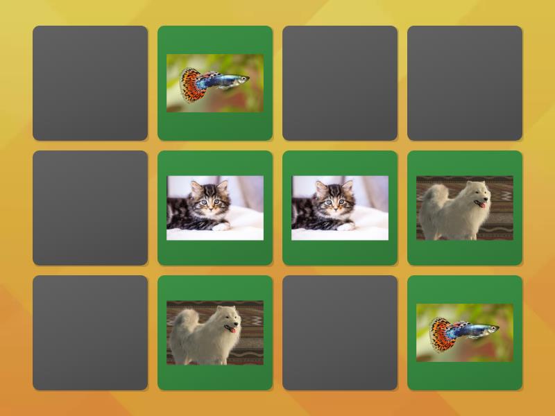 Pets kids box 1 - Matching pairs