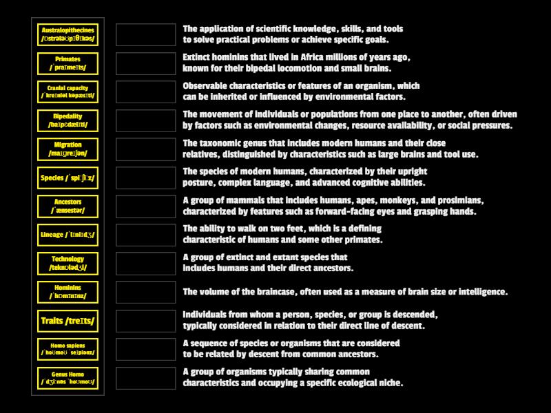 Vocabulary - The Last and the First Human - Match up
