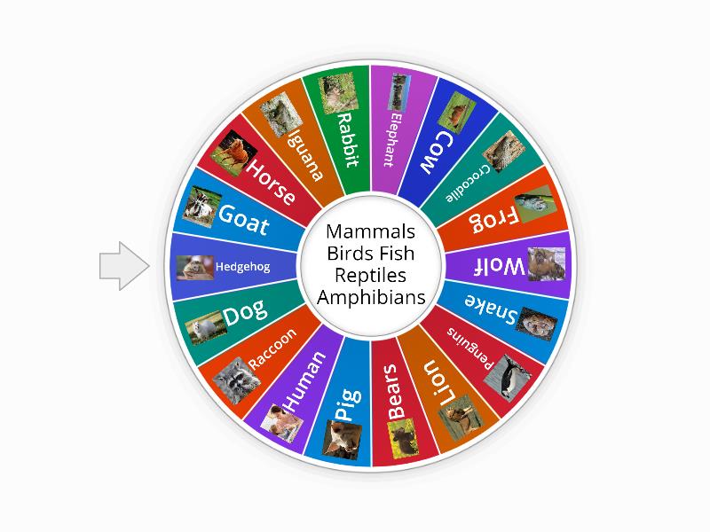 Mammals Birds Fish Reptiles Amphibians - Spin the wheel