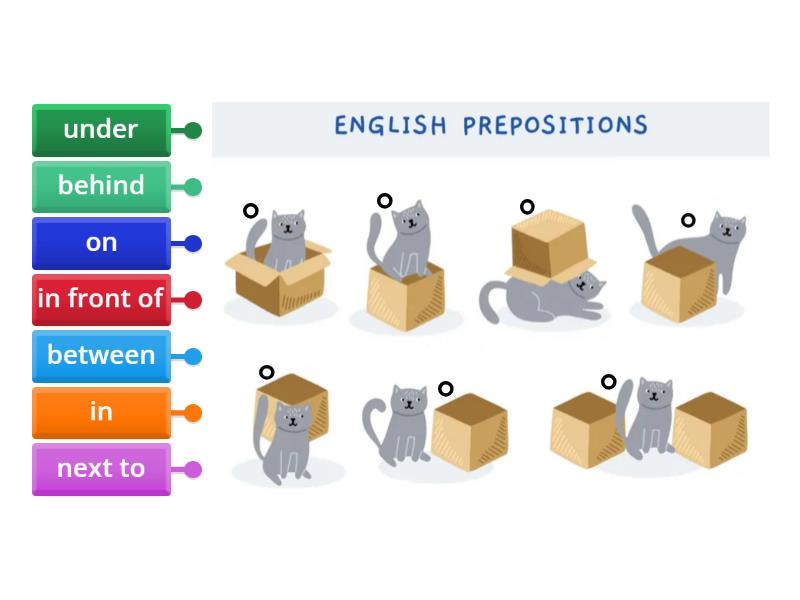 Kid's box 2, Unit 8 "Behind, between, in front of ... " - Labelled diagram