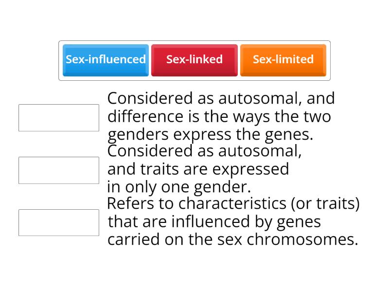 Sex Related Inheritance Match Up