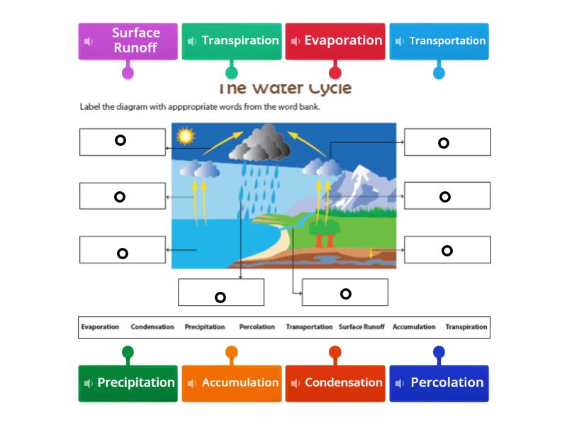 Label the Water Cycle - Labelled diagram