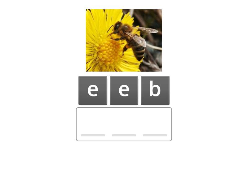 Long E Sounds- - Anagram