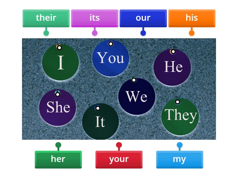 Possessive pronouns A1 - Diagrama con etiquetas