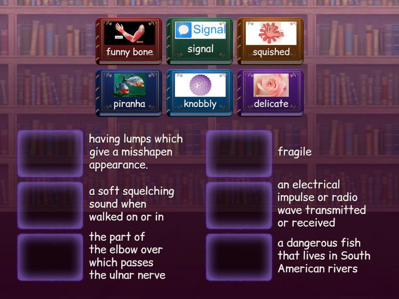 Brain Fizzing Facts - Match up