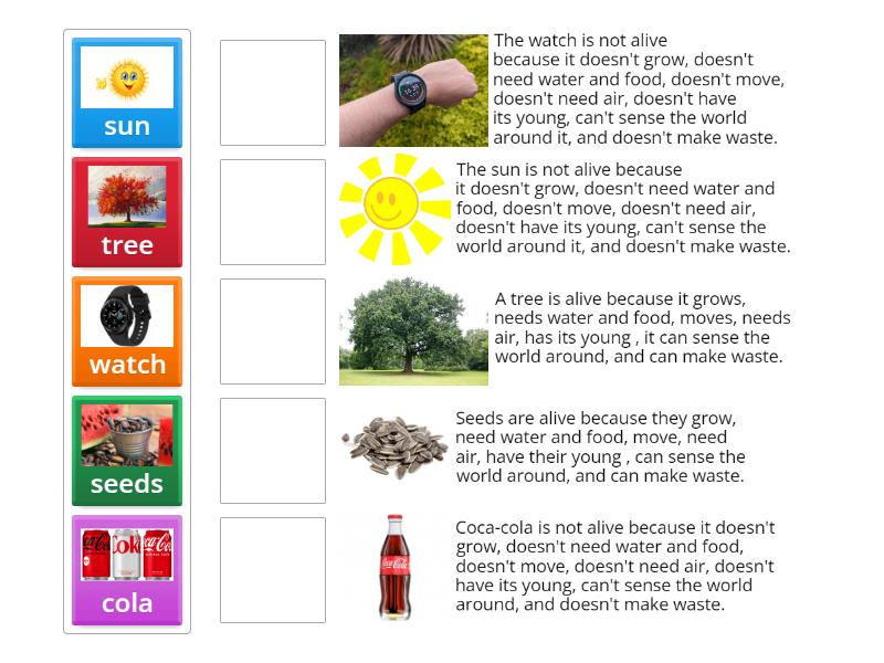 CAT 3 G2 REVIEW 1.1 Alive or not Alive 1.2 Seven Rules - Une las parejas