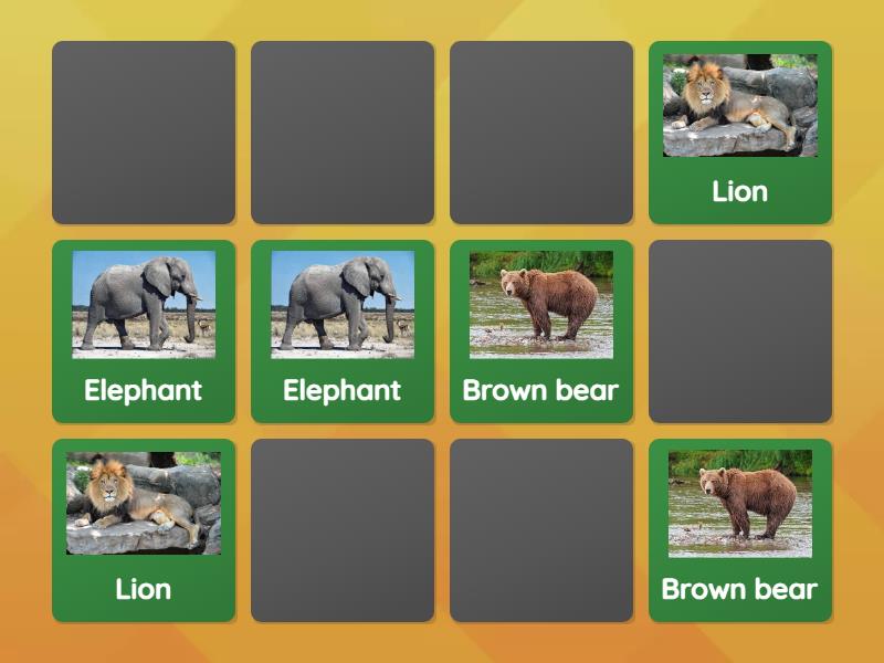 Zoo animals matching - Matching pairs