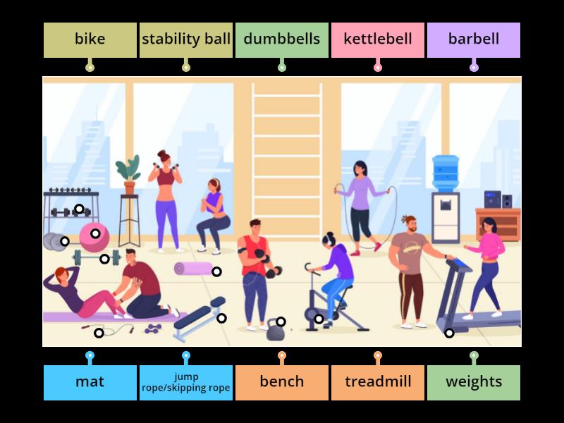 Gym Vocabulary. - Labelled diagram