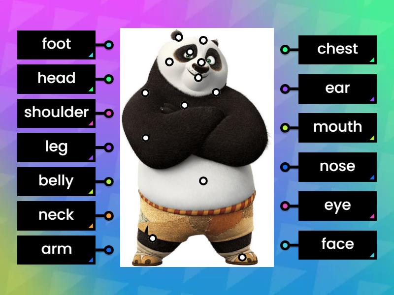 Panda Kung Fu - Labelled diagram