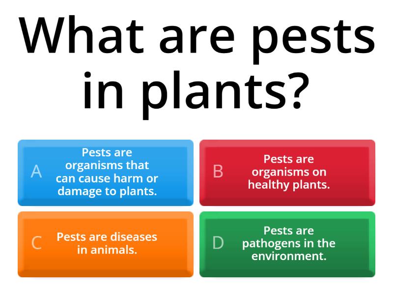 Pest and Disease Control - Quiz
