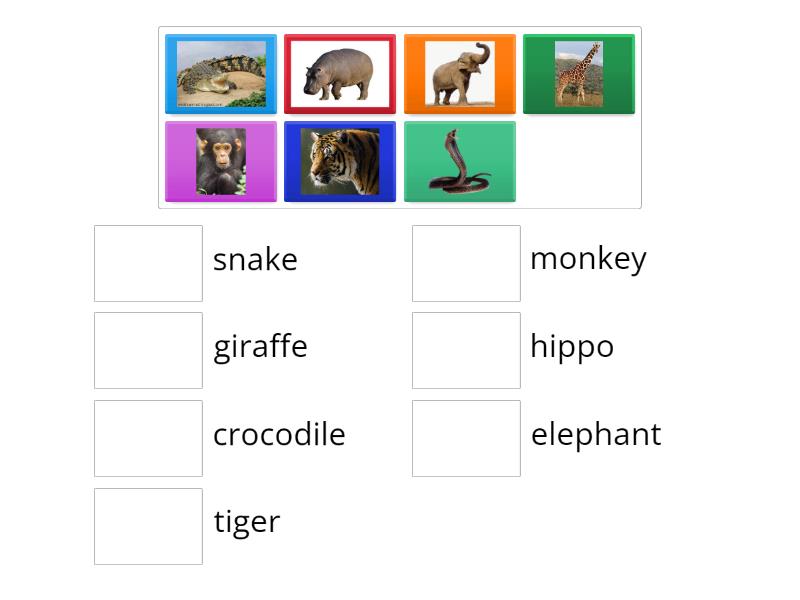 KB 1 Unit 7 Wild animals - Match up