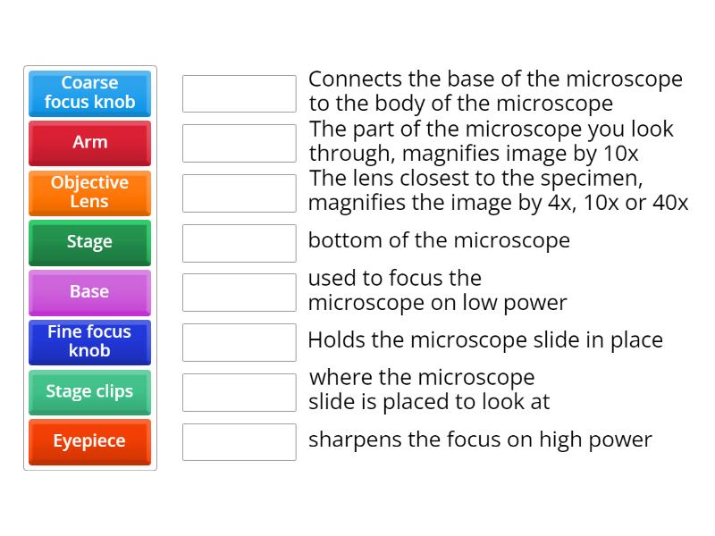 Microscope Parts - Match up