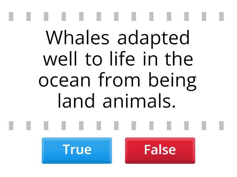 Wordly Wise Book 6 Lesson 13 - True or false