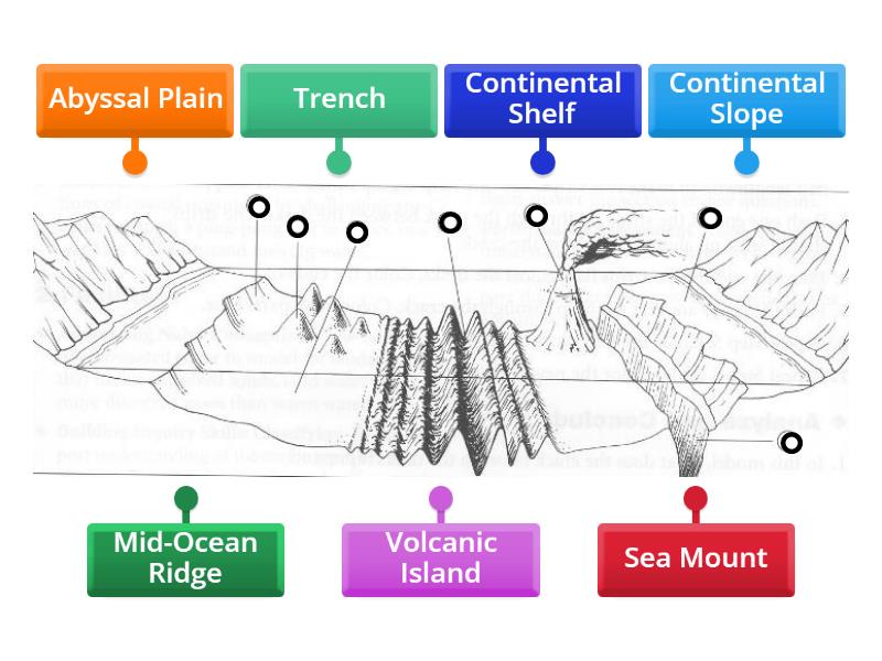Ocean Floor Word Wall - Labelled diagram