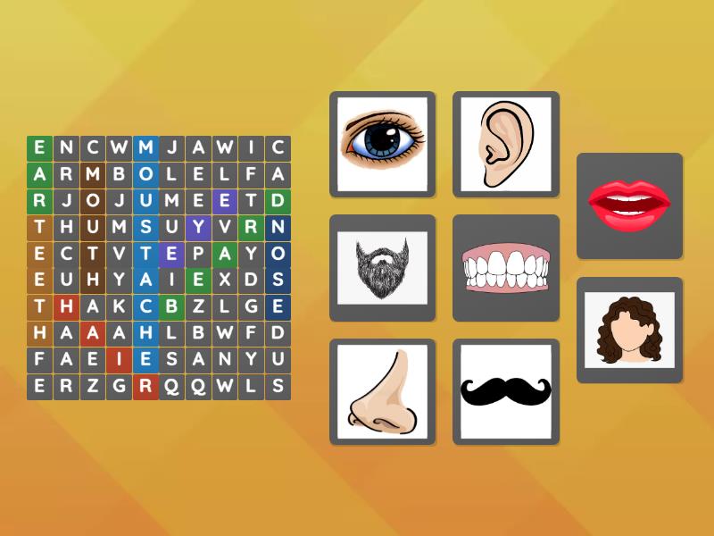 parts of the face - Wordsearch
