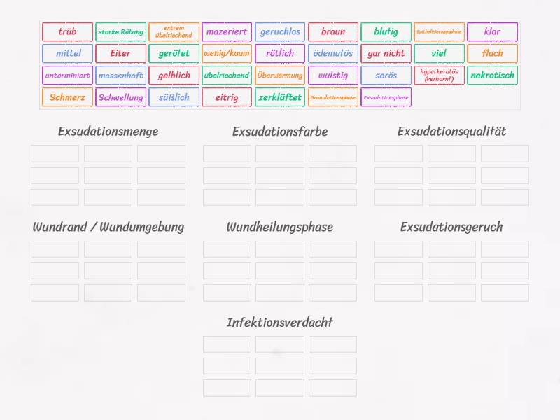 7b. Wunddokumentation - Group sort