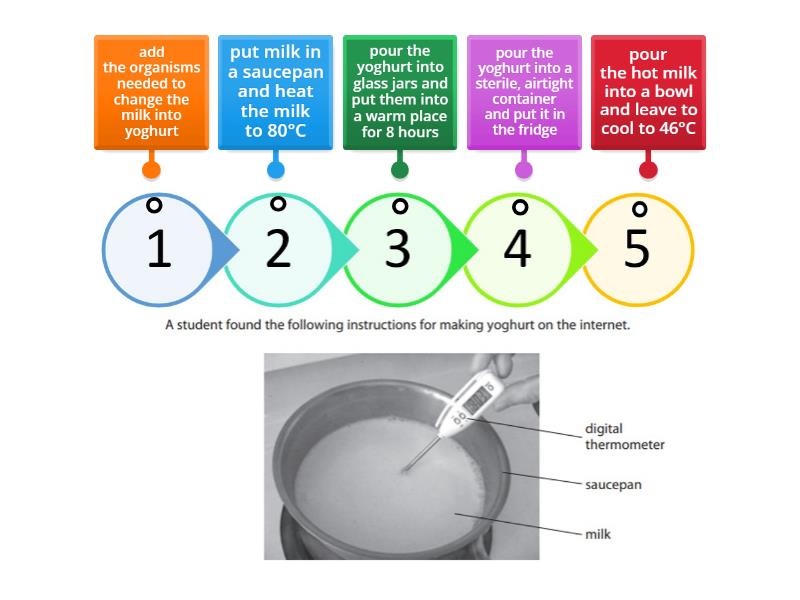 Making yoghurt using lactobacillus bacteria - Labelled diagram