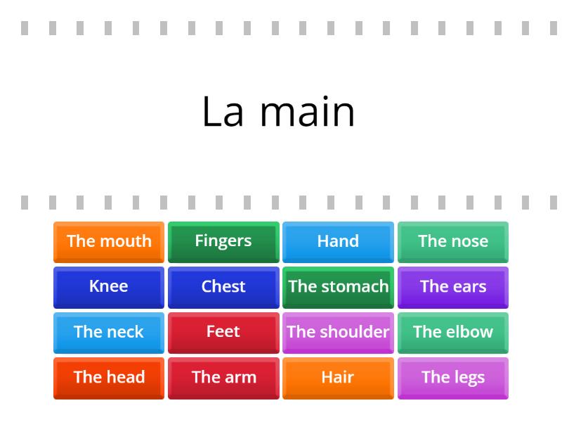 Body Parts in French - Find the match