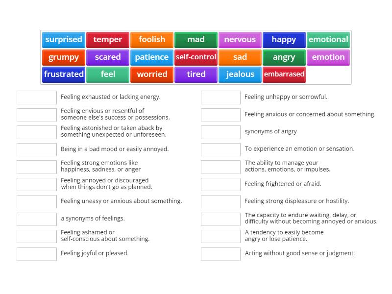Feelings or Emotion Definitions - Match up