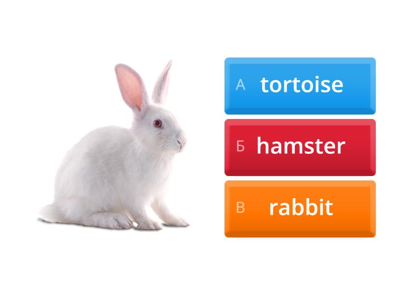 Комарова 2 Unit 3 animals - Quiz