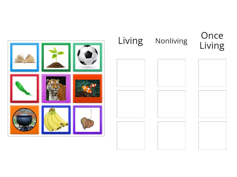 Living, Nonliving, Once Living - Ordenar por grupo