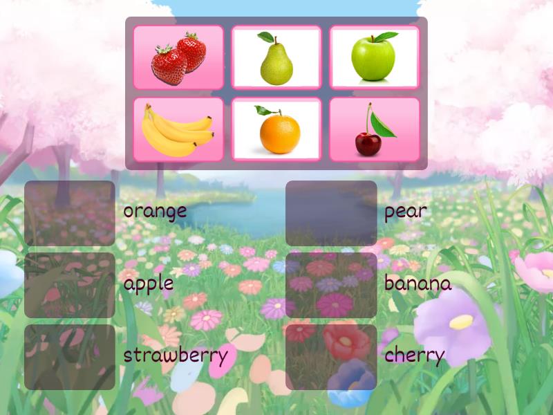 Fruit - Match up