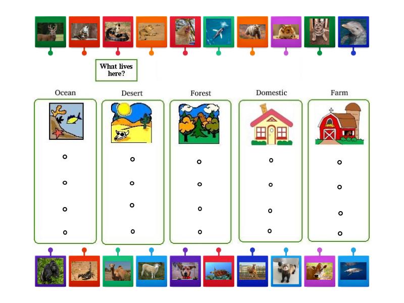 Wild animal and pets - Labelled diagram