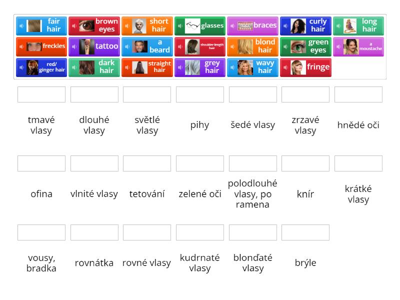 Bloggers 1 Unit 2C - RICH Face, hair & eyes vocabulary - Match up