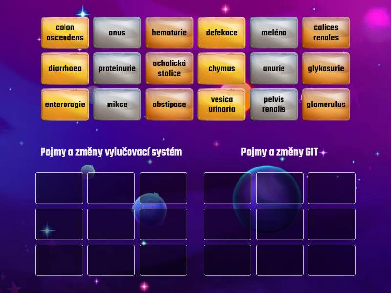 Zařaď pojem ke správné skupině a zopakuj si význam pojmu - Group sort