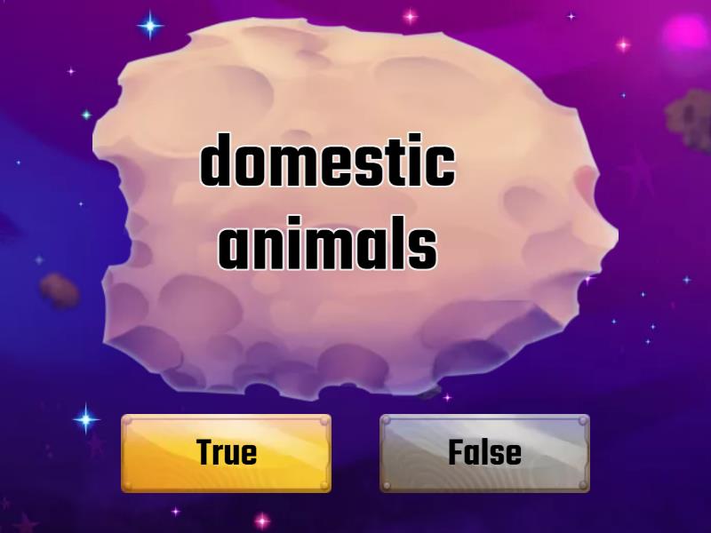 Reader 2 pets - True or false