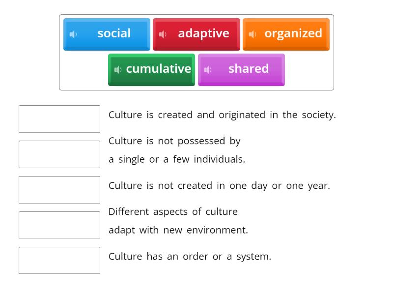 The major characteristics of culture - Match up