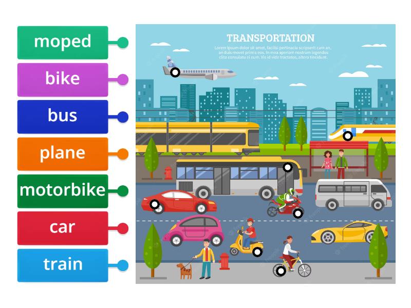Transportation - Labelled diagram