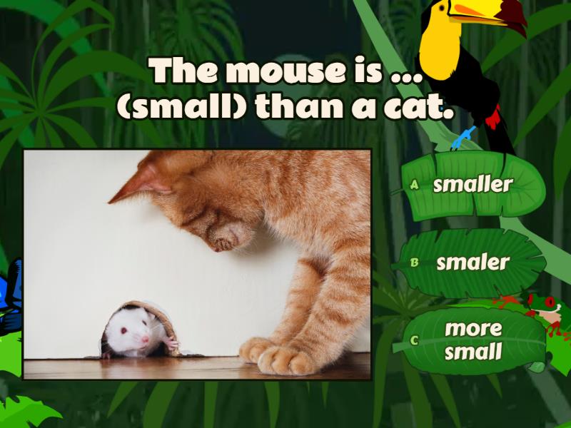 Short adjectives: Comparatives and superlatives - Quiz