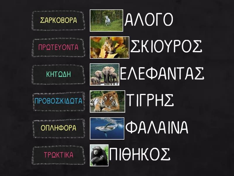 ΘΗΛΑΣΤΙΚΑ:ΚΑΤΗΓΟΡΙΟΠΟΙΗΣΗ ΜΕ ΒΑΣΗ ΤΑ ΧΑΡΑΚΤΗΡΙΣΤΙΚΑ - Unscramble