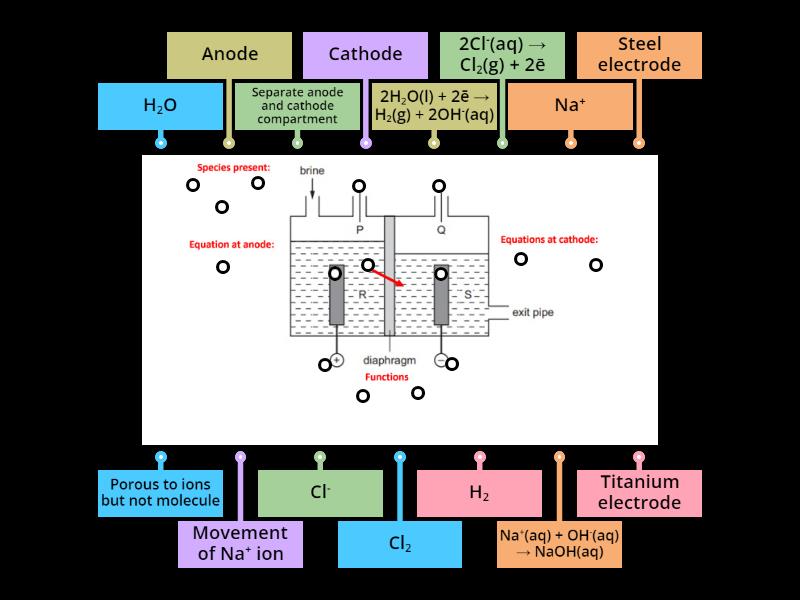 Diaphragm Cell - Labelled diagram