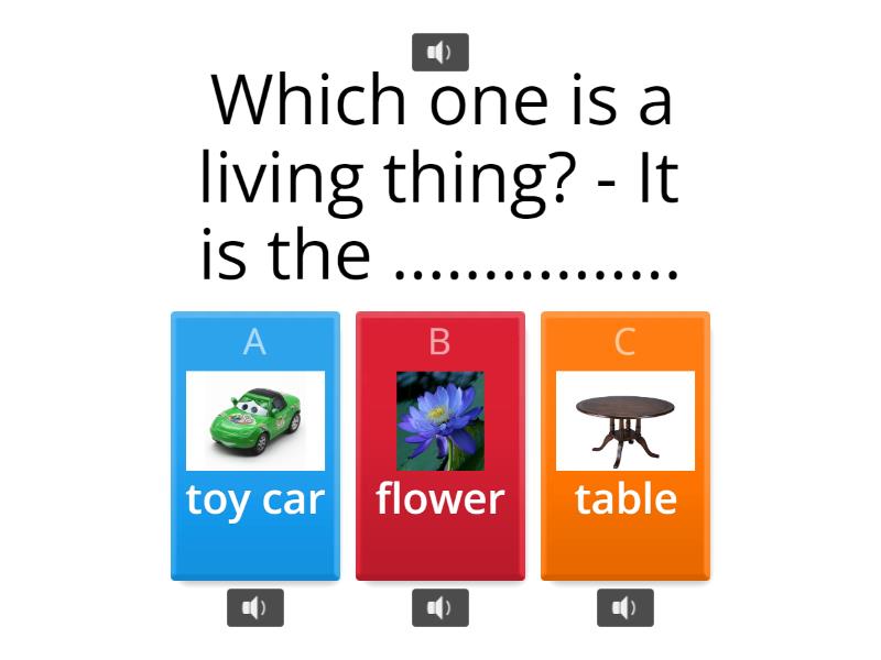 1D2 - G1 - Science - Lesson 1 - Quiz