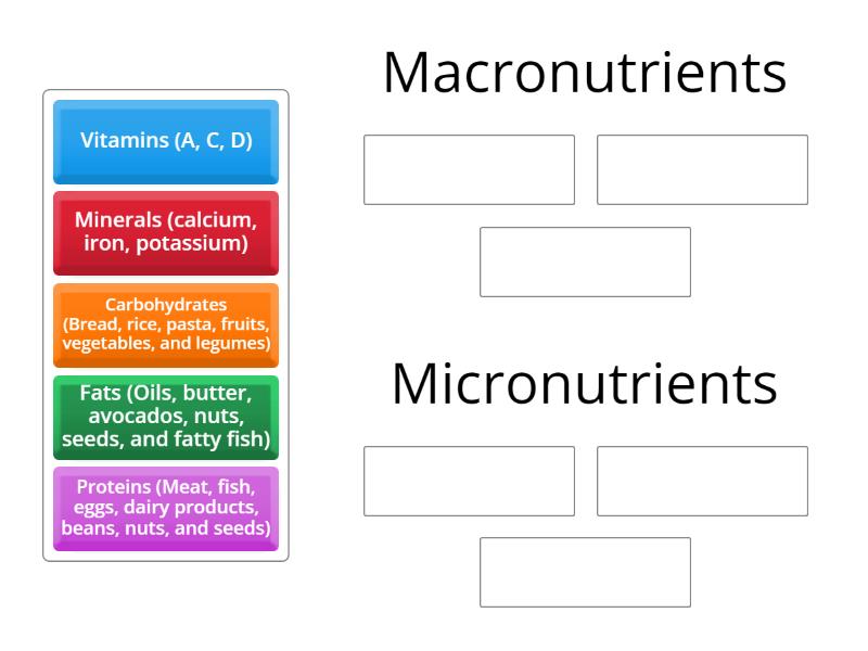 Macronutrients vs Micronutrients - Group sort