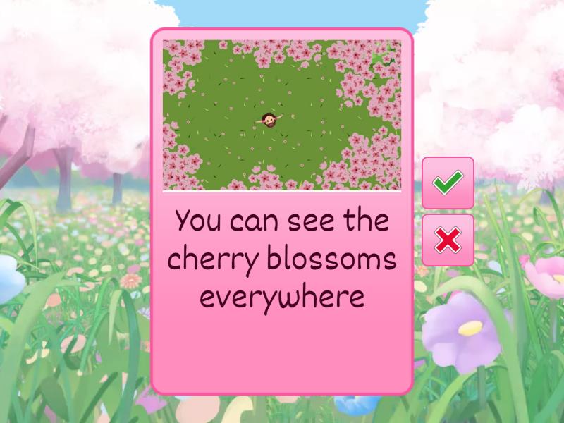 Cherry Blossoms - Flash cards