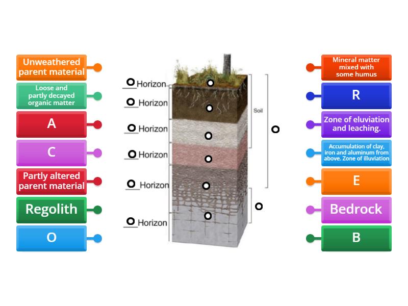 Soil Profile - Labelled diagram